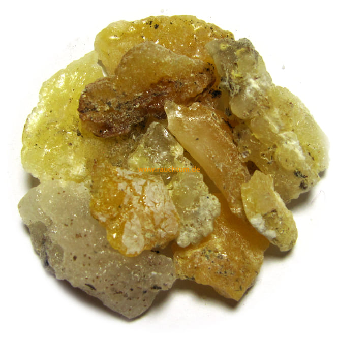 Fichte Wurzelharz | räuchern